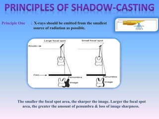 PRINCIPLES OF SHADOW CASTING | PPTX
