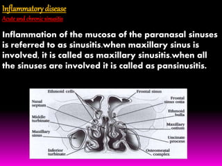 Maxillary Sinus Inflammation