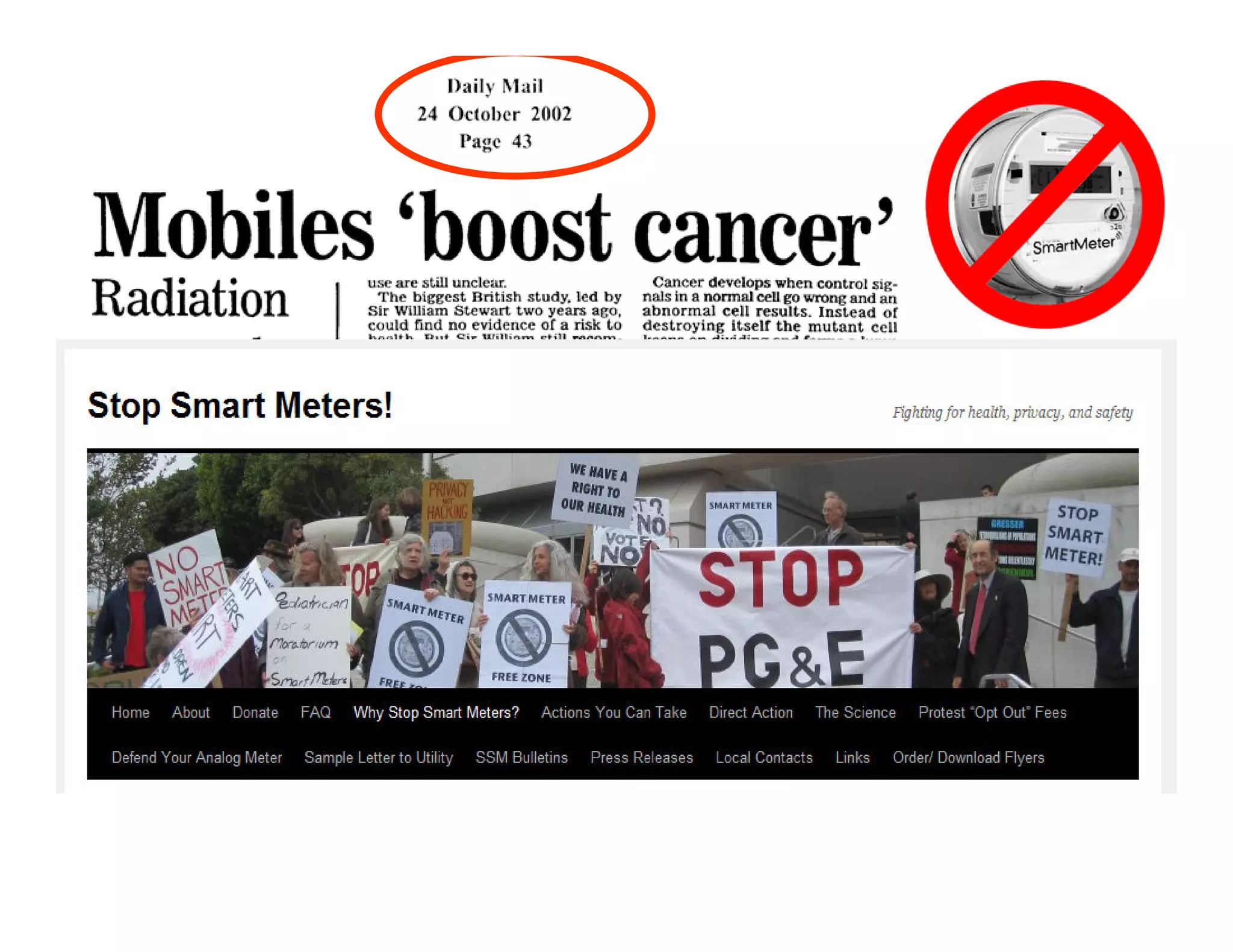 Oms rf and health a who perspective | PPT