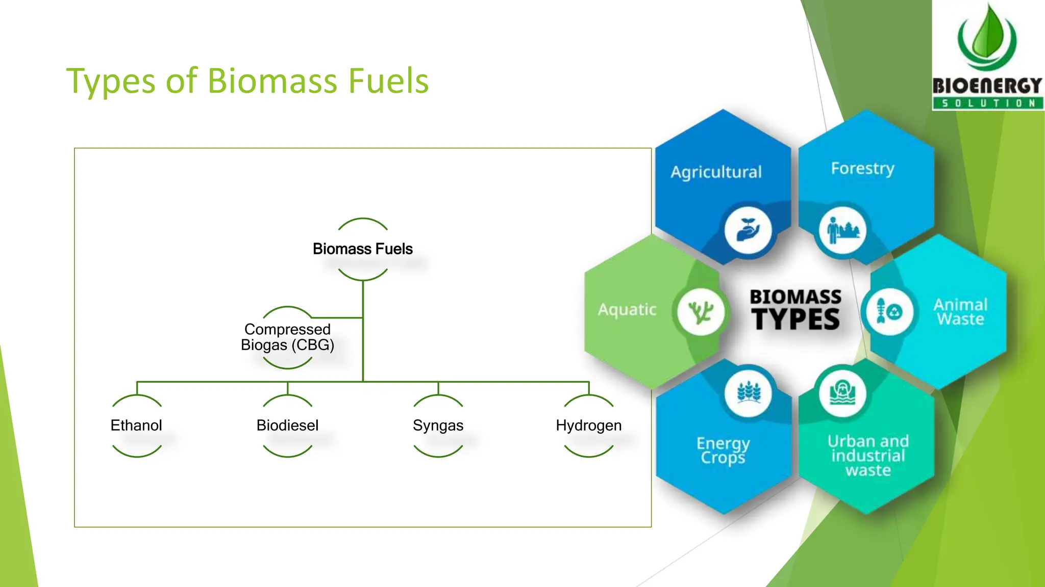 O&M Services and Solutions For Biomass Energy Facilities.pptx