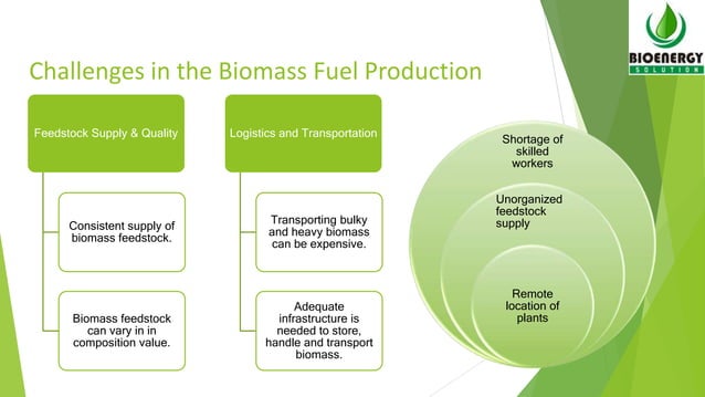 O&M Services and Solutions For Biomass Energy Facilities.pptx