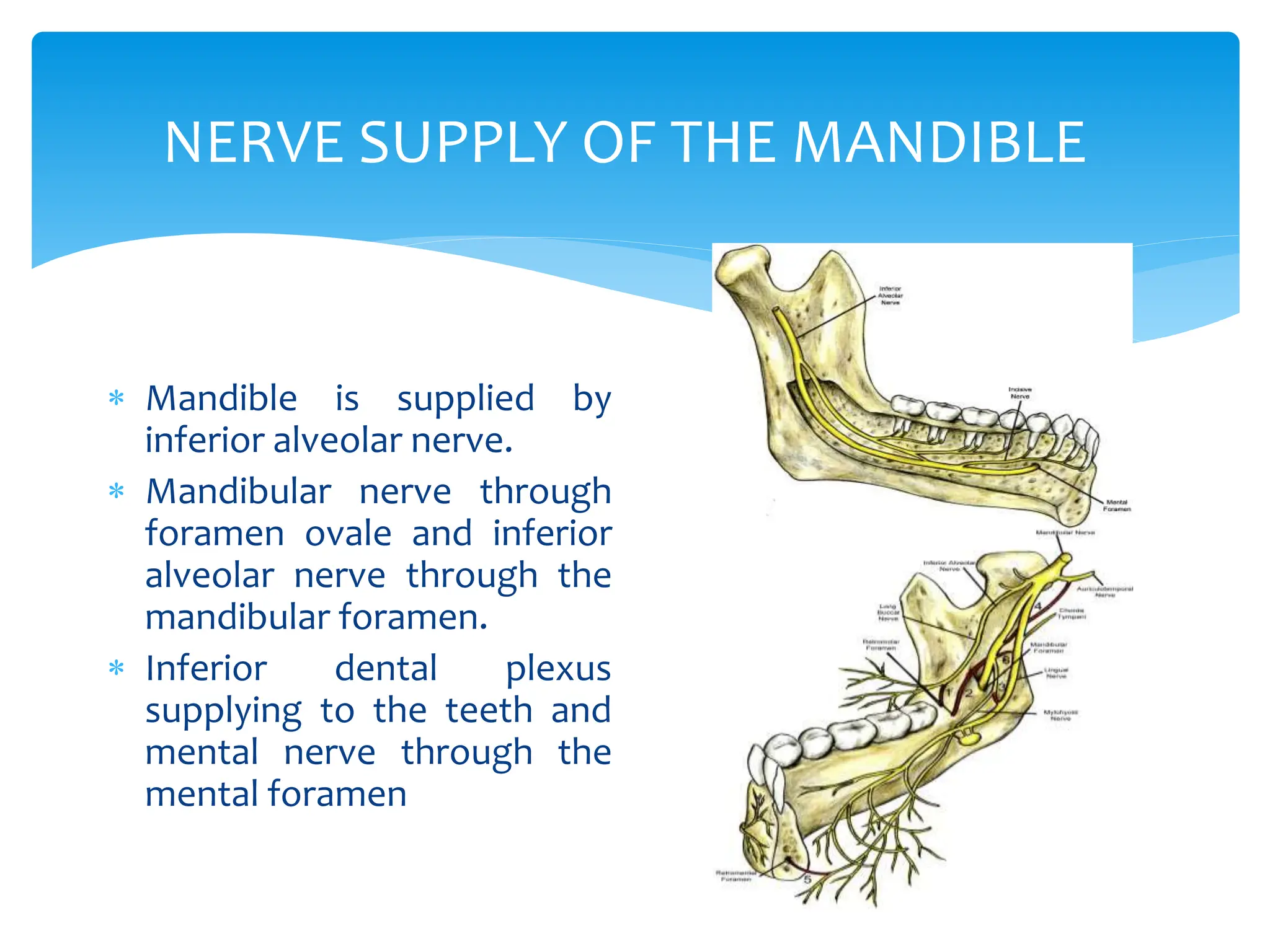 Fractures of mandible and detailed discussion | PPTX