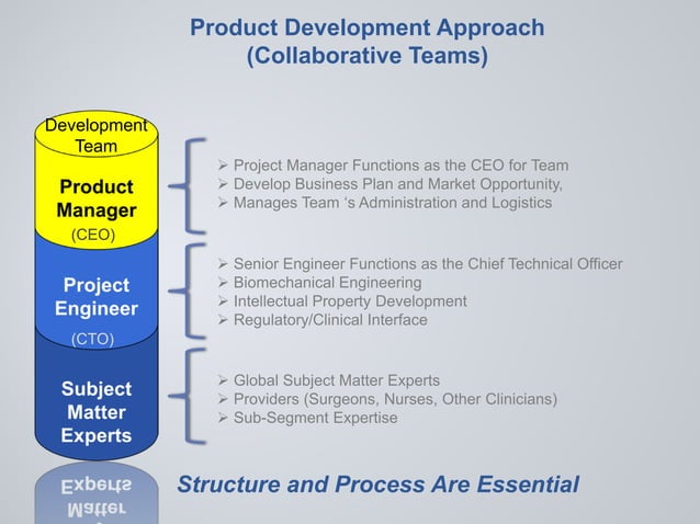 What Is It? Product Development vs. Product Management | PDF