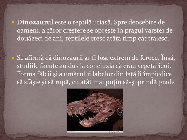 Omul conform creationismului | PPT
