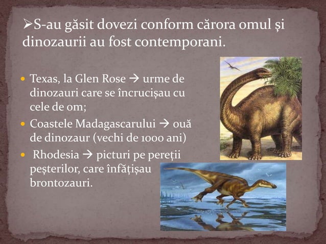 Omul conform creationismului | PPT