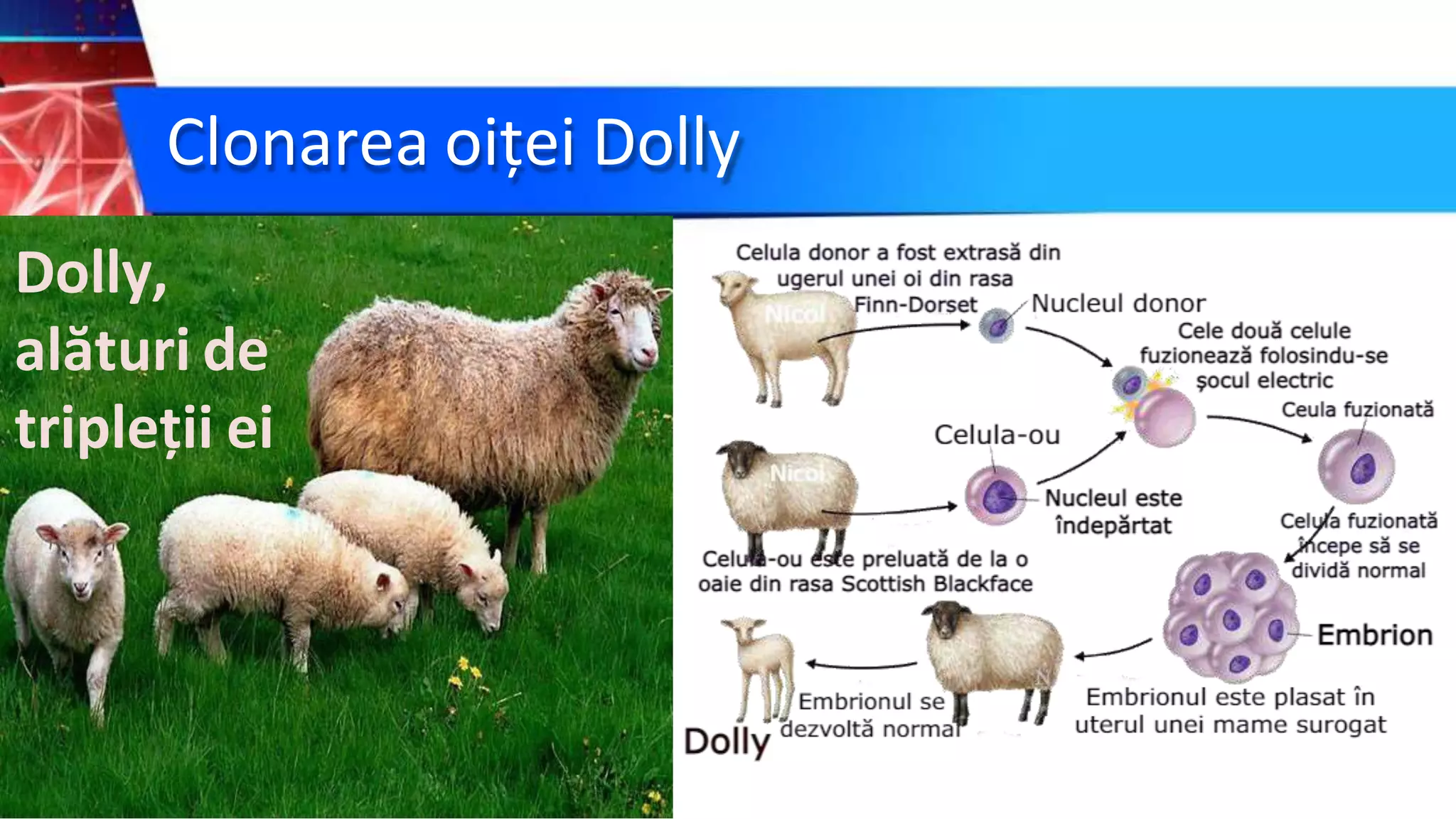 omul_si_tehnologia.pptx