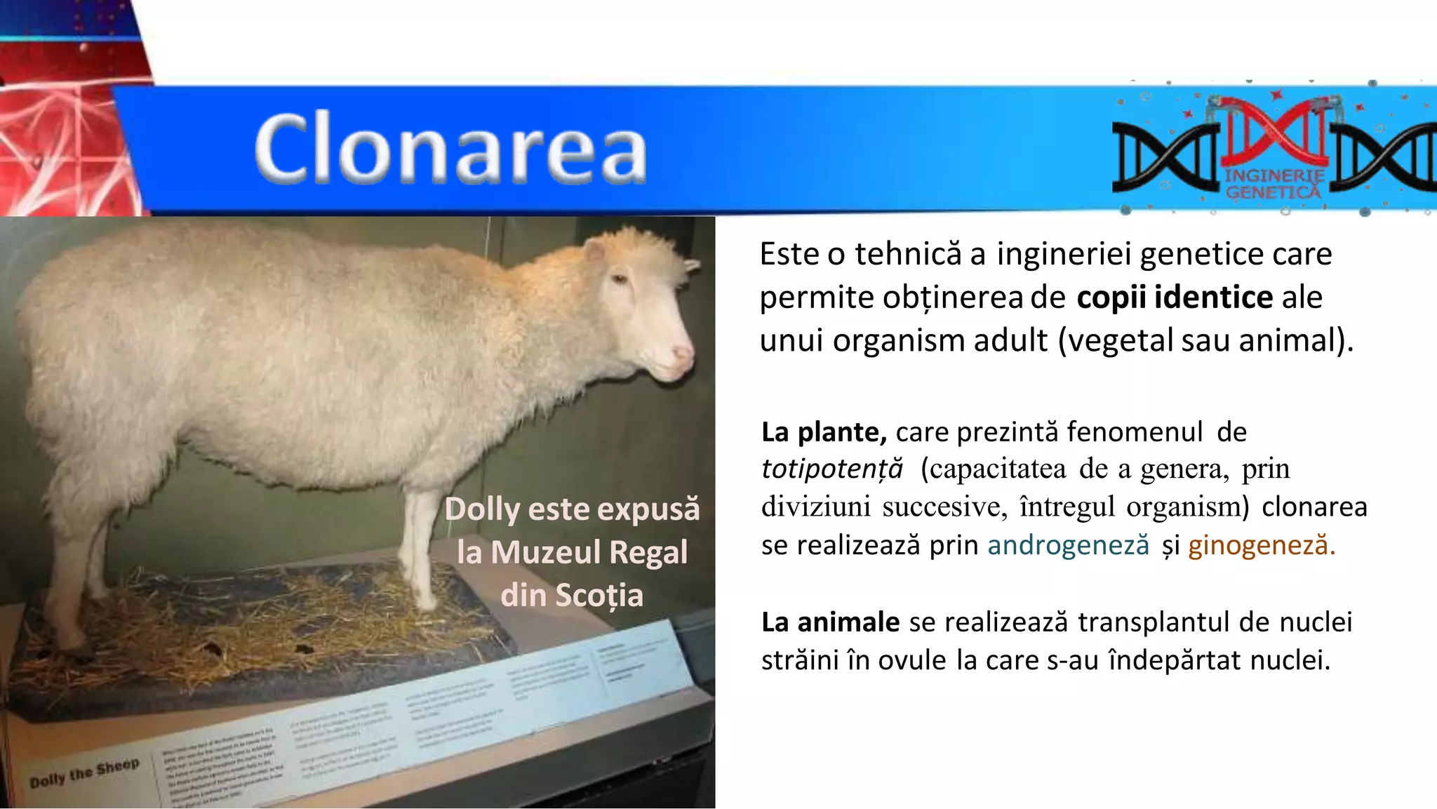 omul_si_tehnologia.pptx