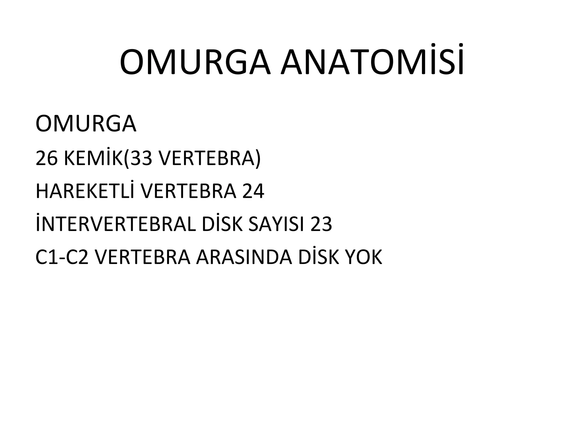 Omurga anatomi̇si̇ | PPT