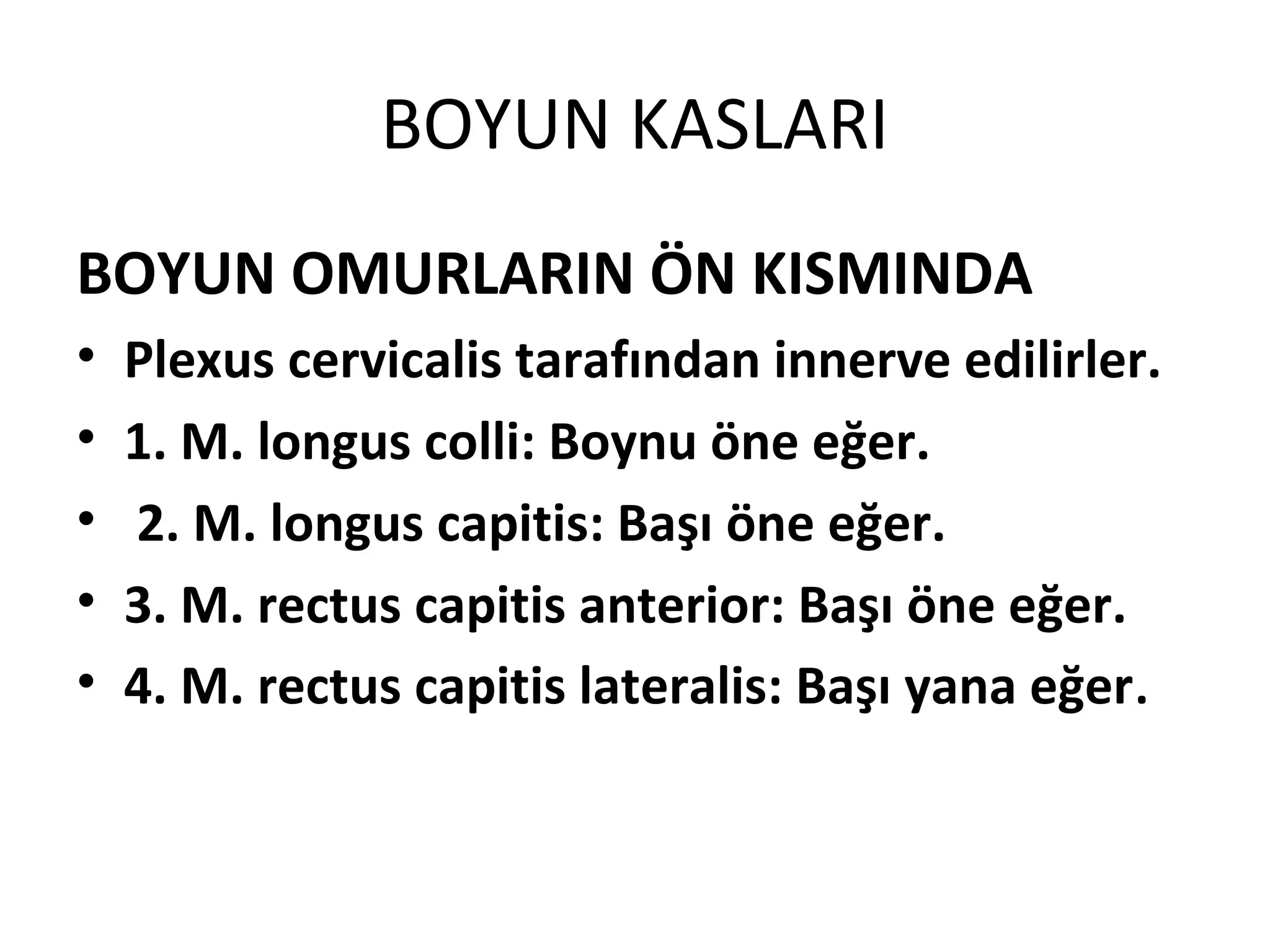 Omurga anatomi̇si̇ | PPT