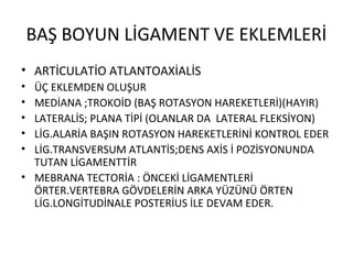 Omurga anatomi̇si̇ | PPT