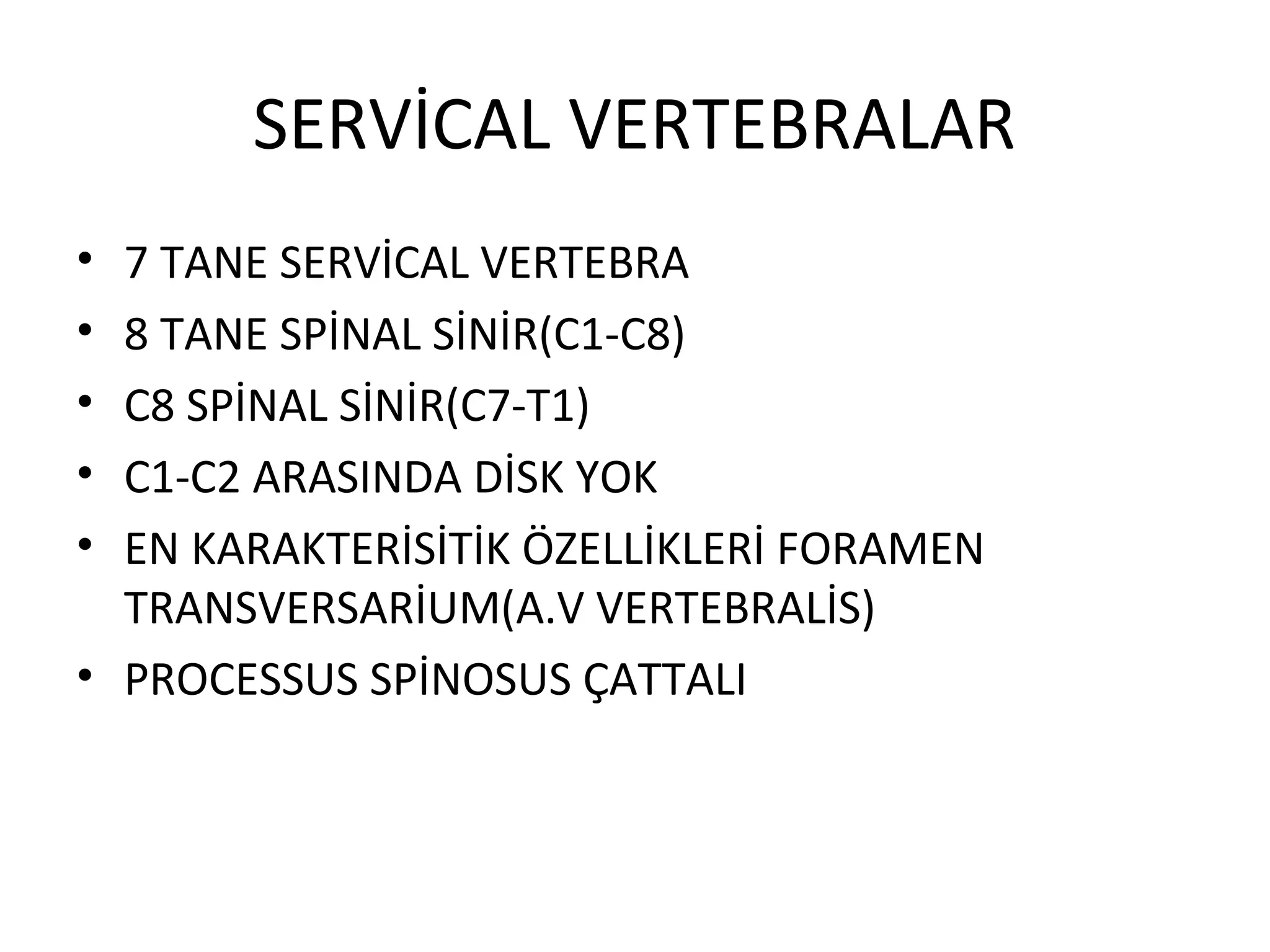 Omurga anatomi̇si̇ | PPT