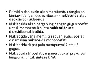 PPT.genetika-PPT.genetika-PPT.genetika.pptx