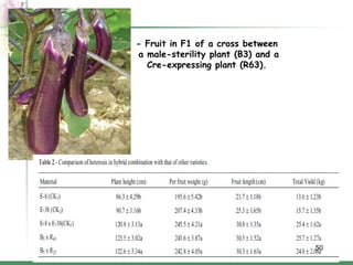Molecular mechanism of male sterility in plant system | PPT