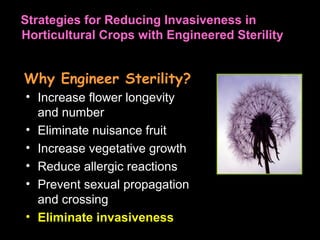 Molecular mechanism of male sterility in plant system | PPT
