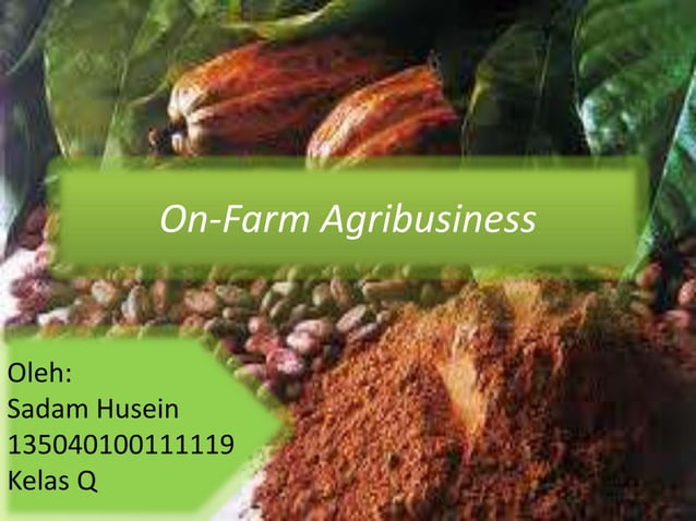 On farm agribusiness | PPT