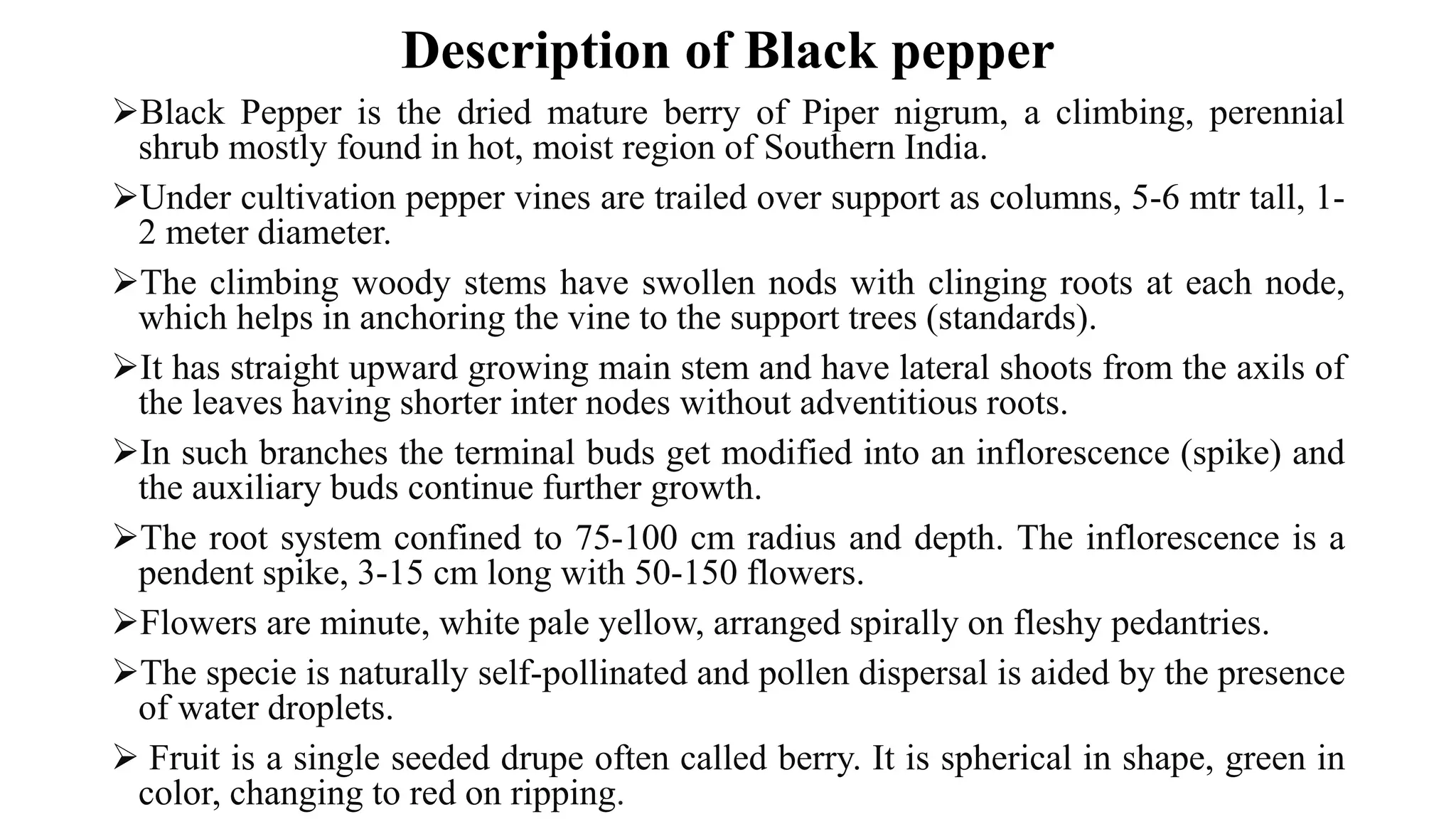 PRODUCTION TECHNOLOGY OF BLACK PEPPER | PPTX