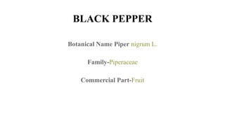 PRODUCTION TECHNOLOGY OF BLACK PEPPER | PPTX