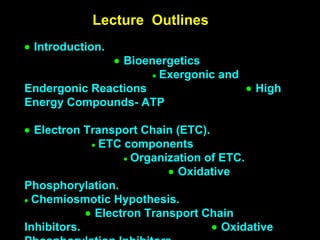 Biological oxidation | PPT