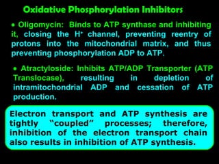 Biological oxidation | PPT