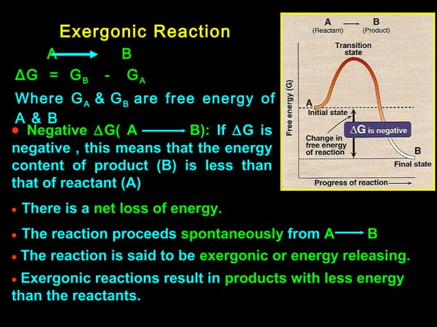 Biological oxidation | PPT | Chemistry | Science