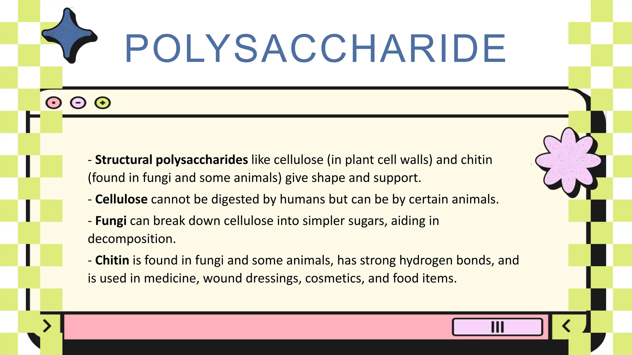 Disaccharide and Polysaccharide.....pptx