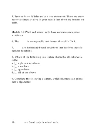 ONCAMPUS MARK SCHEME for UFP Skills for Bus CSR EssayCorporate Soc.docx | Biological Sciences ...