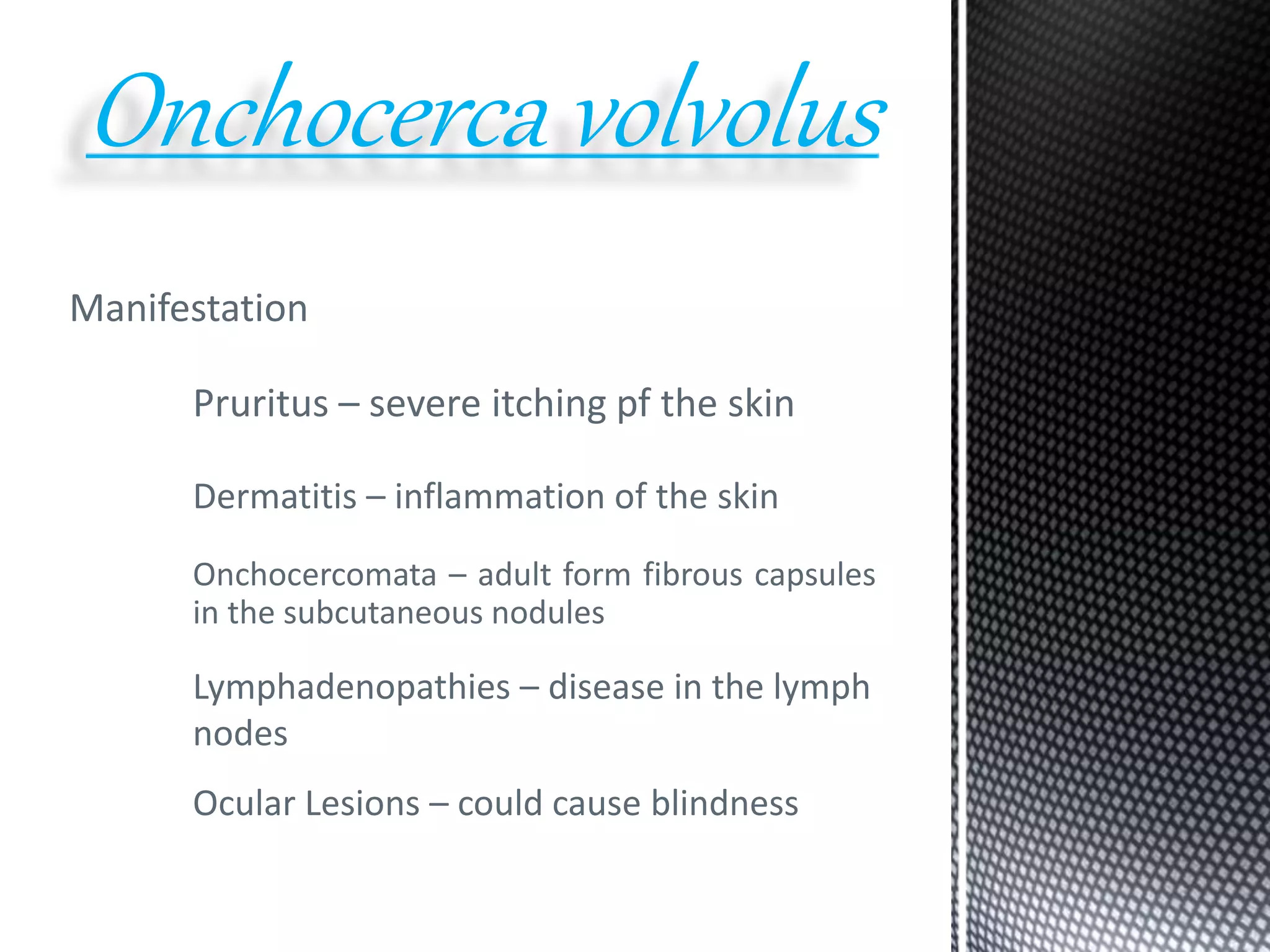 Onchocerca volvulus | PPTX