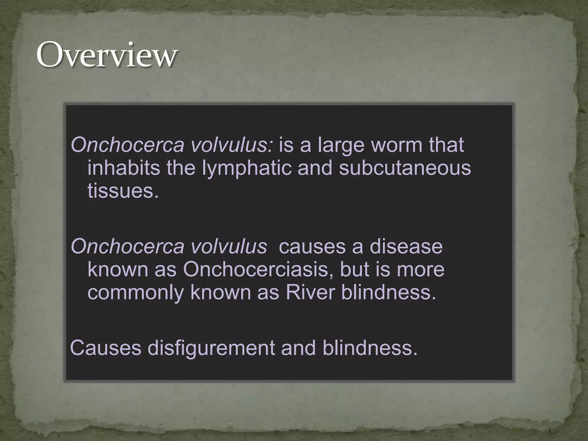 Onchocerca volvulus | PPTX