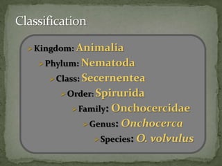 Onchocerca volvulus | PPTX