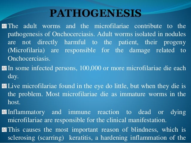 Onchocerciasis Adalah