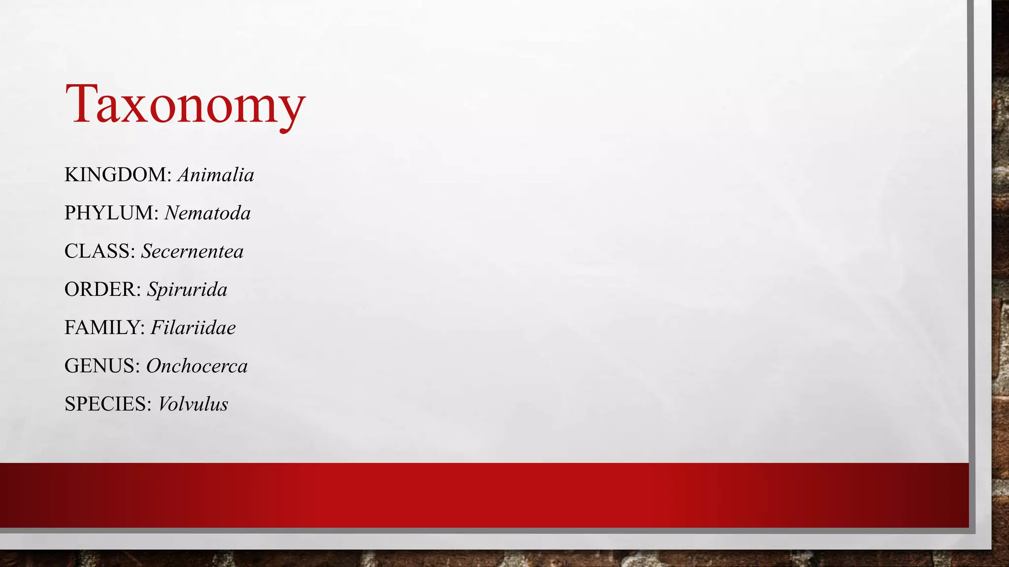 onchocerciasis-170406210709.pdf