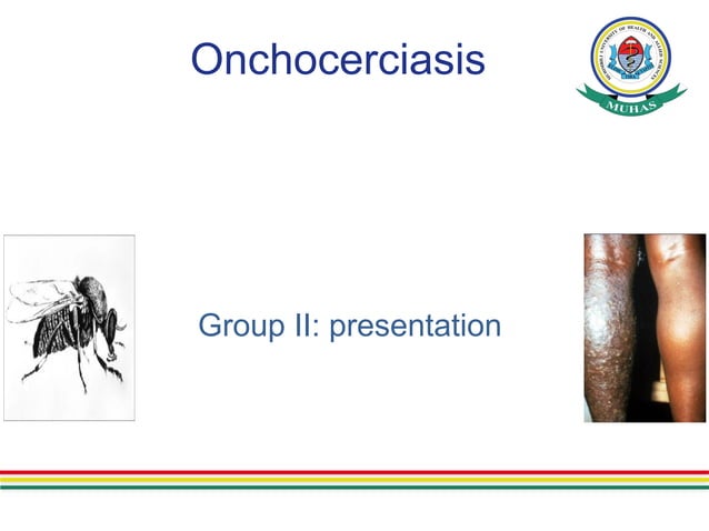 Onchocerciasis power Point presentation. | PPT