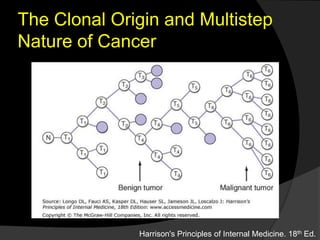 Approach to the Patient with Cancer | PPTX