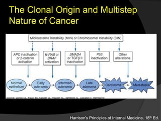 Approach to the Patient with Cancer | PPTX