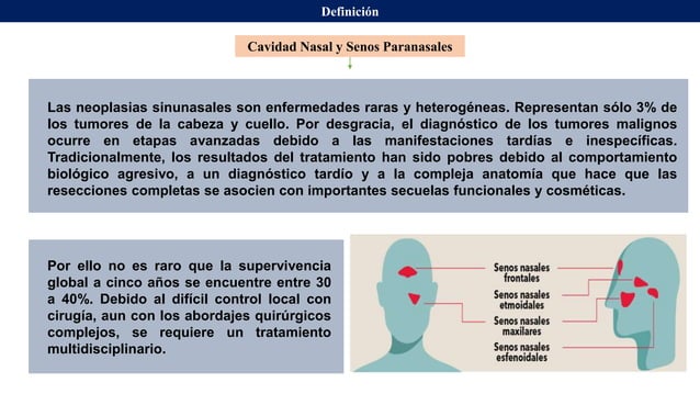 Cancer de cavidad nasal y senos paranasales | PPTX
