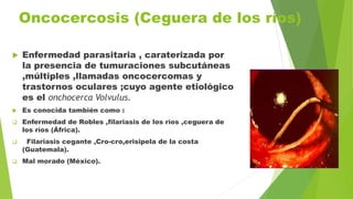 Oncocercosis | PPTX