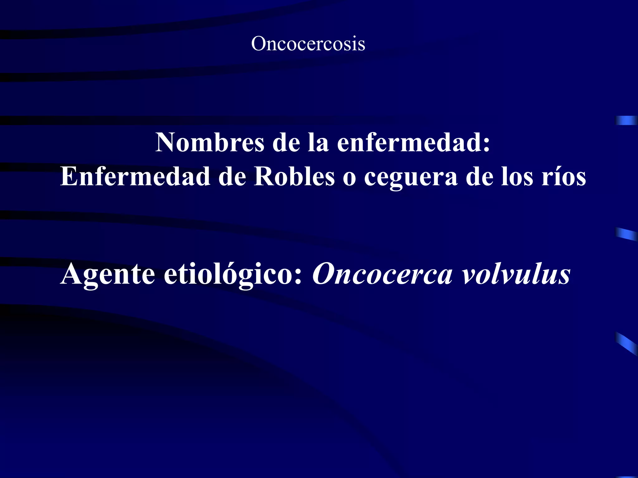 Oncocercosis abril 27.ppt