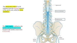 Onco Emergencies - Spinal cord compression Superior vena cava syndrome ...