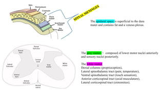 Onco Emergencies - Spinal cord compression Superior vena cava syndrome ...