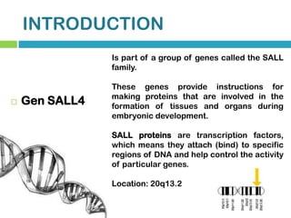 Oncofetal Gene SALL4 | PPTX