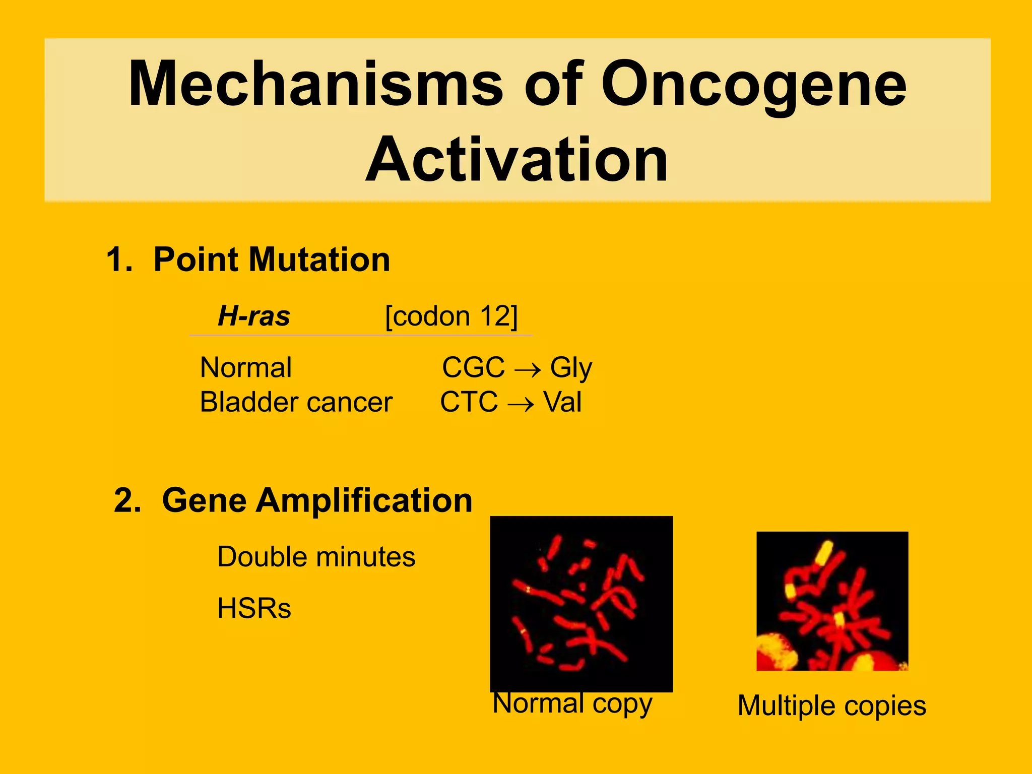 Oncogene | PPTX