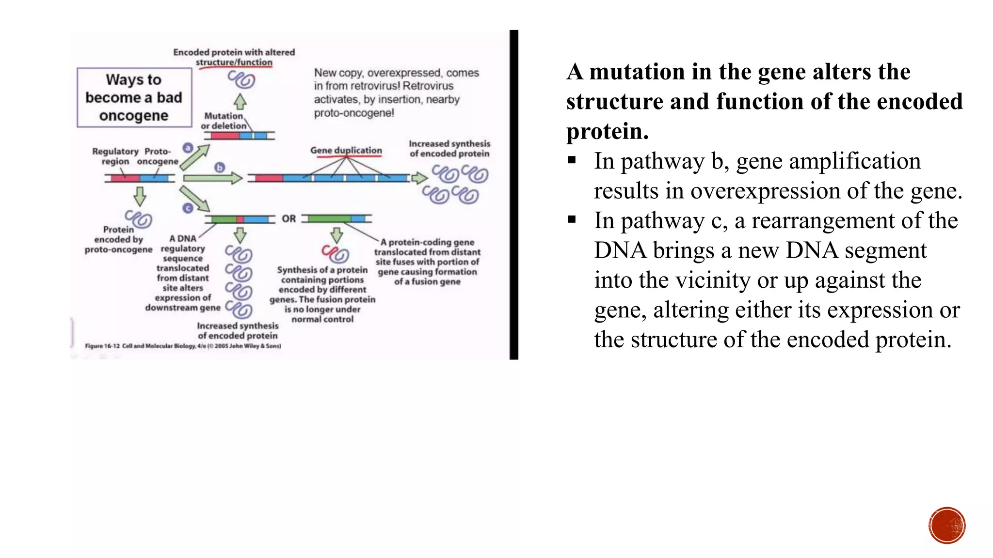 Oncogene.pptx