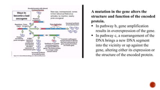 Oncogene.pptx