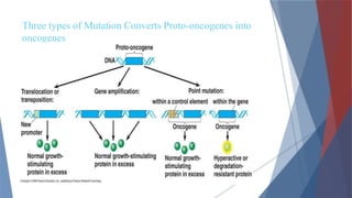 Oncogene and tumor suppressor gene | PPTX