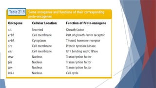 Oncogene and tumor suppressor gene | PPTX
