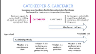 OVERVIEW OF ONCOGENE AND TUMOR SUPPRESSOR GENE | PPTX
