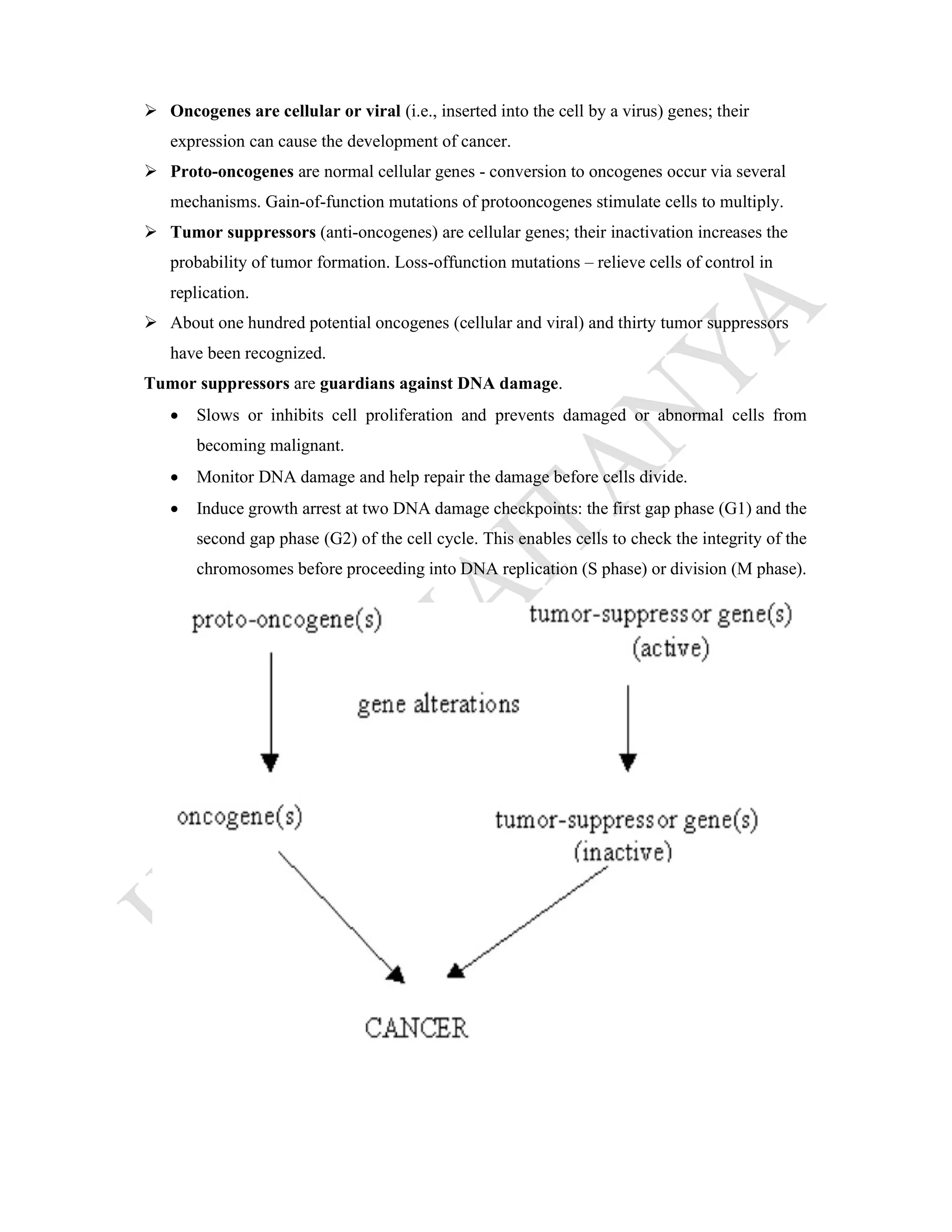 ONCOGENE AND TUMOUR SUPPRESSOR GENE | PDF