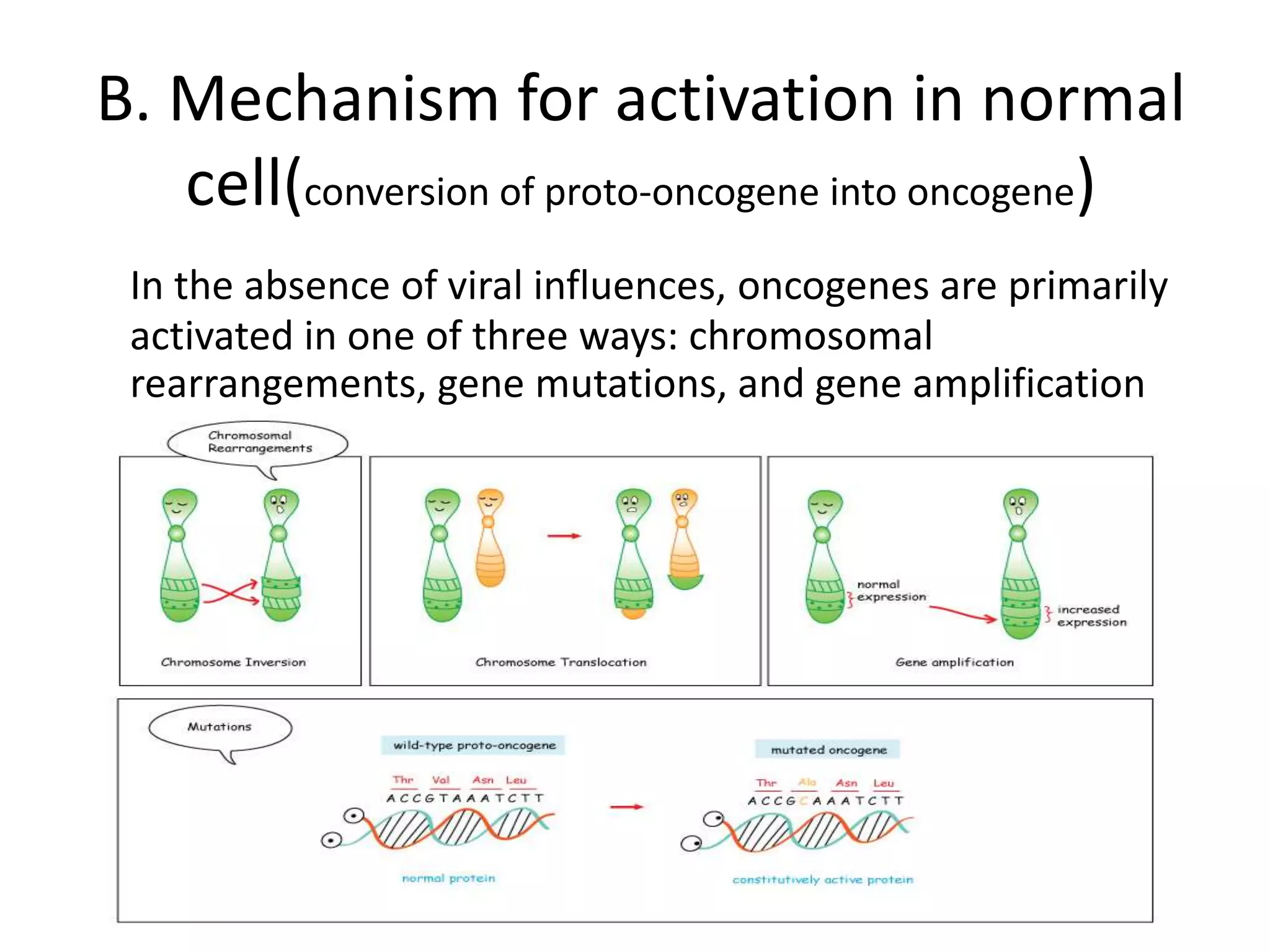 Oncogene | PPTX