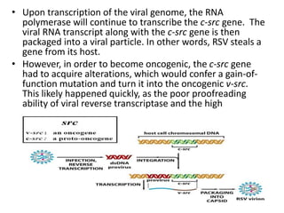Oncogene | PPTX