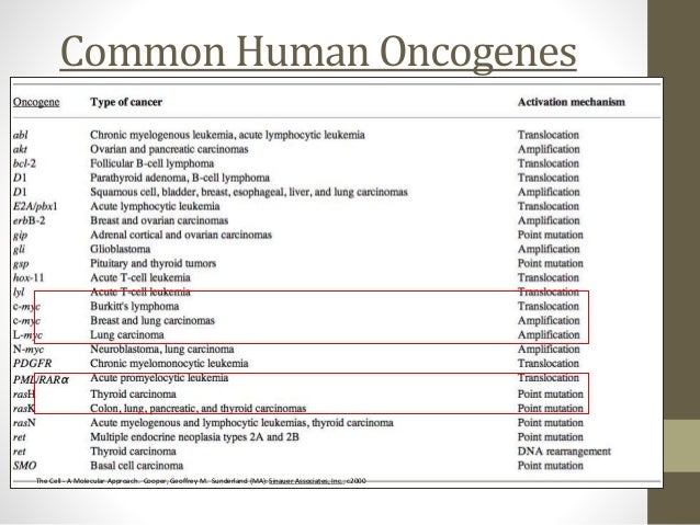 Oncogenes